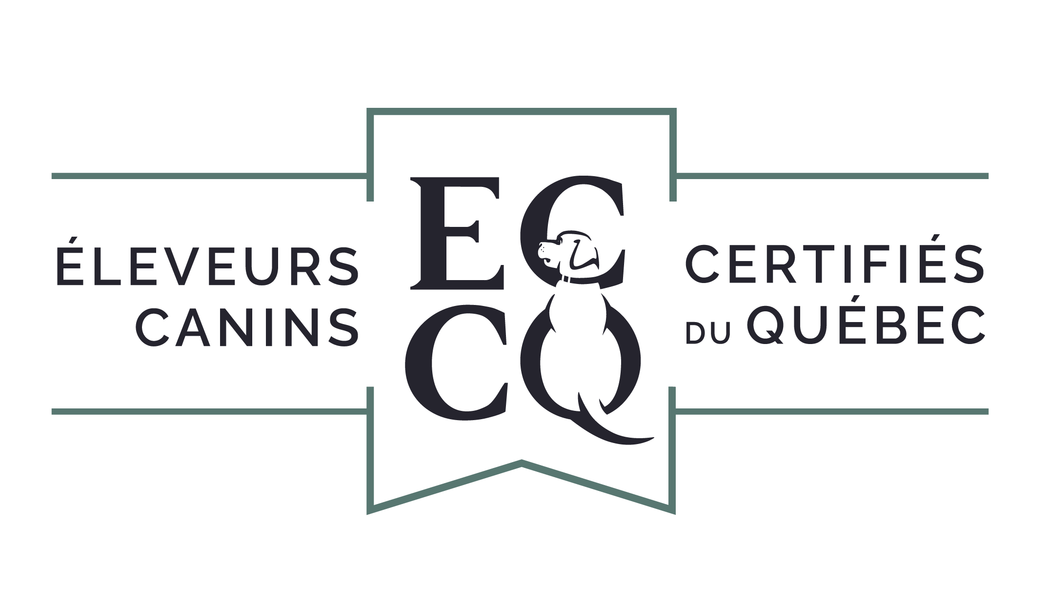 Déniche ton chien - ECCQ